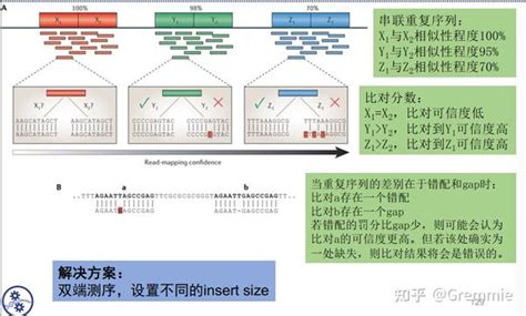 重测序数据分析（短序列的比对算法snpindel 和cnvsv Calling 方法） 知乎