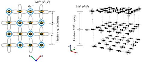 Schematic Diagram Showing A The Intralayer Fm Coupling In The Download Scientific Diagram
