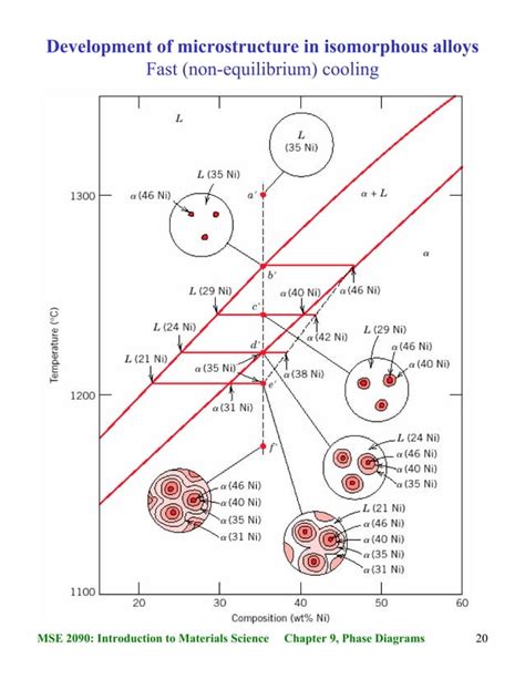 Phase Diagrams And Phase Transformations Pdf