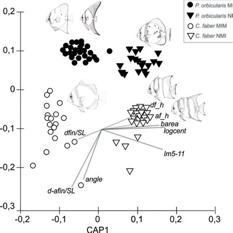Cap Analysis Constrained Canonical Analysis Of Principal Coordinates