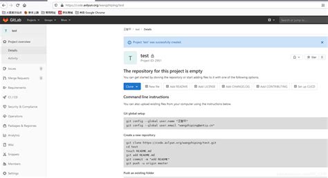 记一次gitlab代码仓库迁移git Clone Mirror Csdn博客