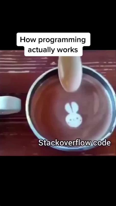 How Programming Actually Works Rtiktok