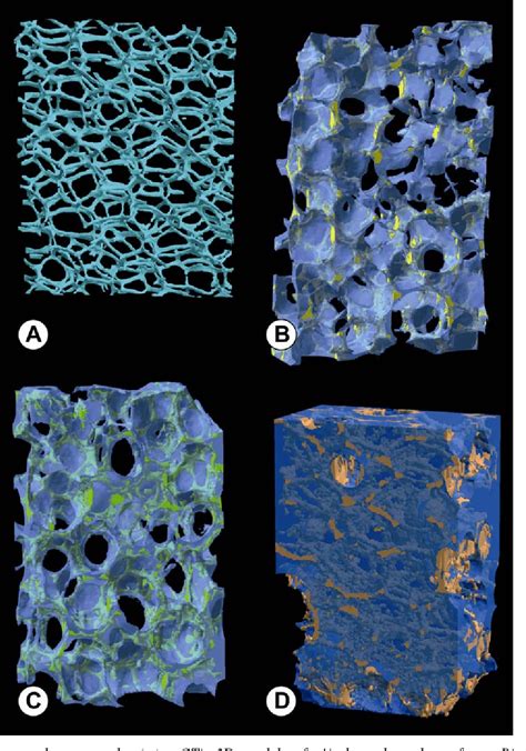 Figure 1 From Microct And Preparation Of ß Tcp Granular Material By The