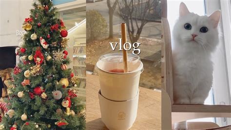 Vlog 임산부 브이로그🎄 면순이가 되어버린 7주차 딸기덕후열차 탑승🍓🚂 고양이 바다와 겨울왕국 Youtube