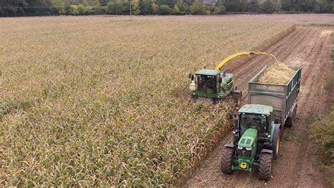 How Growers Can Produce Maize And Protect Environment Farmers Weekly