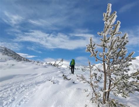 февруари 2019 Блогът на туристически комплекс „Андела Юндола