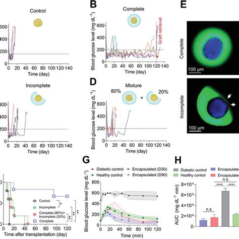 In Vivo Immunoprotection Of Conformal Hydrogel Encapsulation In