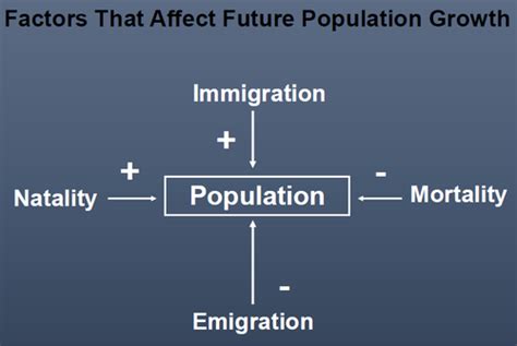 Population Dynamics Flashcards Quizlet