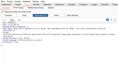 Tryhackme Burpsuite The Basics