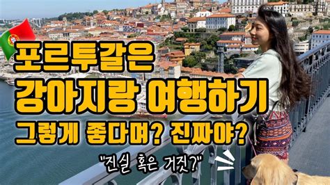🇵🇹 71 포르투 접수 한국에서 간 골든리트리버 포르투갈 정복기 포르투 편 반려견과 포르투 여행정보 총정리 Youtube