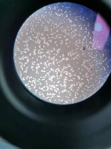 229 Questions With Answers In Turbidity Science Topic