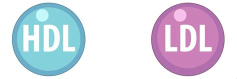 Cholesterol Numbers Explained Ldl Hdl Triglycerides
