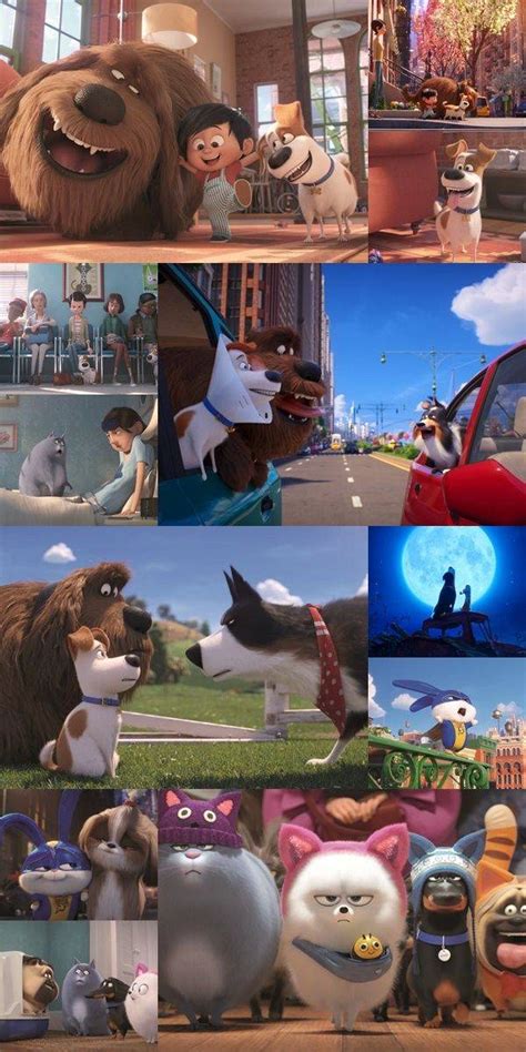 마이펫의 이중생활2 스틸 12종 볼수록 귀여운 펫들의 리얼 라이프