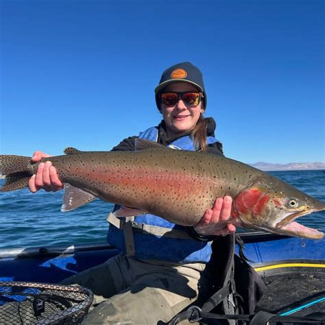 Lahontan Cutthroat Trout Photos Anglers Break Long Standing Record
