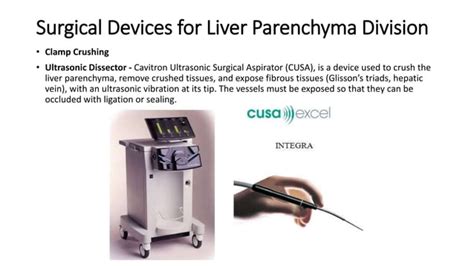 Hepatectomy Pptx Surgery Medical Health