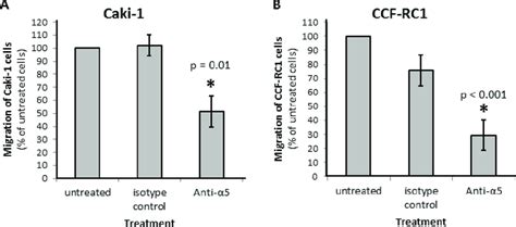 chemotactical cell migration of rcc cell lines caki 1 a and ccf rc1