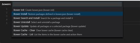 ASP NET Core Part Debugging ASP NET Core Applications On Visual Studio Code