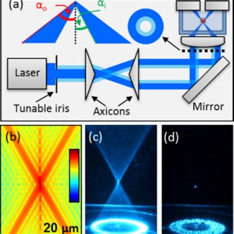 Pdf Raman Spectroscopy Of Optically Trapped Single Biological Micro