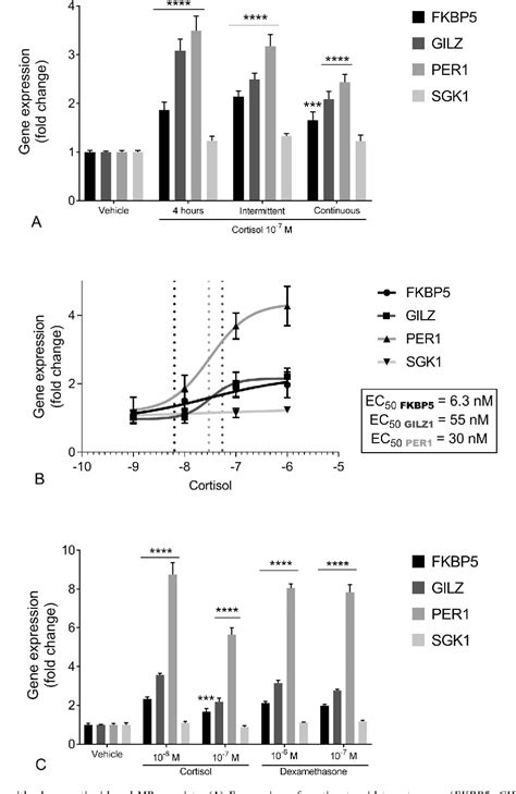 Figure 1 From The Effect Of Corticosteroids On Human Choroidal