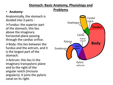 Hydrodynamically Balanced Systems Pptx