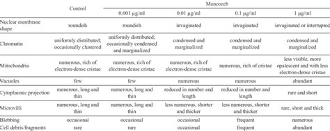 Summary Of Main Results Obtained By Tem And Sem Observations