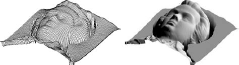 14 surface reconstruction results a grid representation and b