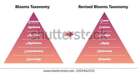 Blooms Taxonomy Revised Blooms Taxonomy Infographic Stock Vector Royalty Free