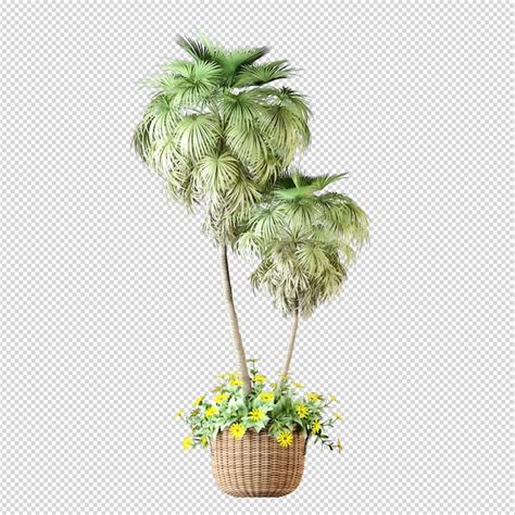 Premium PSD Beautiful D Rendering Of Trees Isolated