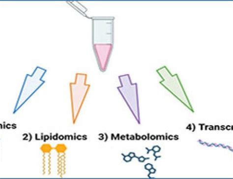 Full Length Rna Seq From Single Cells Using Smart Seq2 Rna Seq Blog