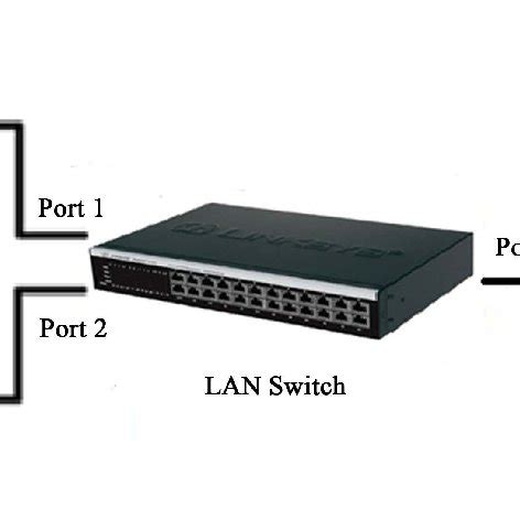 Experimental Setup For Router With Real Server Download Scientific Diagram
