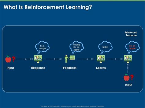 Segments Of Reinforcement Learning What Is Reinforcement Learning Ppt Layouts Icons PDF