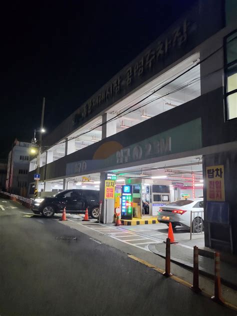 제주 동문재래시장 야시장 맛집 Feat 운영 시간 주차장 정보 네이버 블로그 제주 동문재래시장 야시장 맛집 Feat 운영 시간 주차장 정보 네이버 블로그