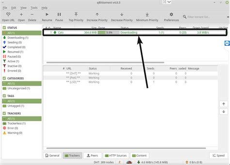 Qbittorrent 423 Windows 10 How To Tutorials