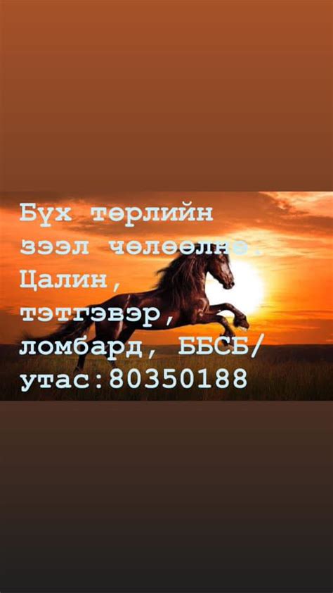 зээл чөлөөлөх үйлчилгээ 80350188