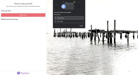 Olympus Framework The Fastest Way To Build Your Saas Application