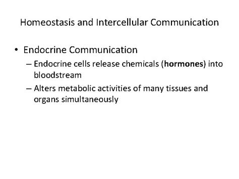 Chapter 16 The Endocrine System Power Point Lecture