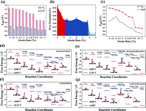 Strain Controlled Single Cr Embedded Nitrogen Doped Graphene Achieves Efficient Nitrogen