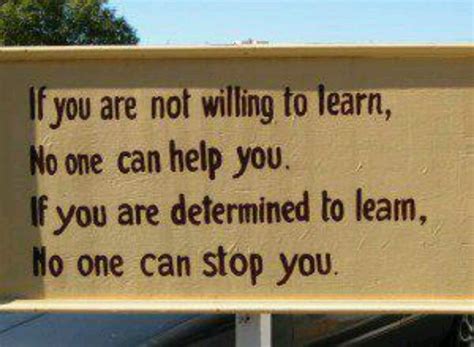 Grasshopper Learning Quotes Quotesgram