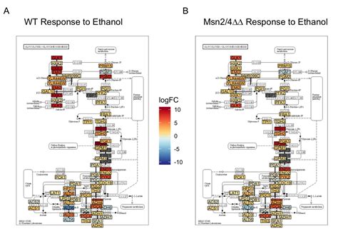chapter 11 kegg analysis genomic data analysis course exercises