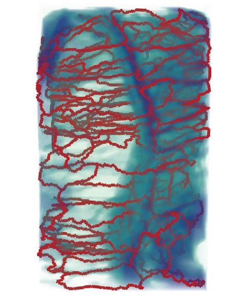 A D Reconstructions Of The Bone Dataset At Different Threshold δ Download Scientific
