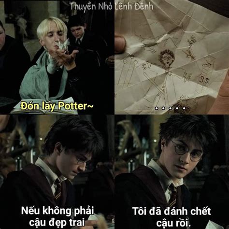 Ghim của Alexandra MacLoughlin trên Harry Potter Fantastic beasts Harry potter Draco