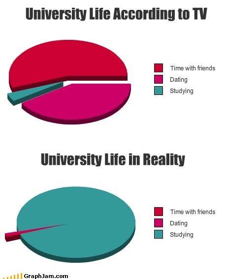 Best Funny Pie Charts Images On Pinterest Funny Pie Charts Hilarious And Funny Memes