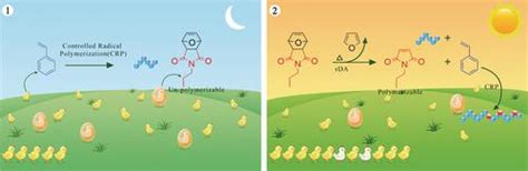 具有呋喃保护的马来酰亚胺作为潜在单体的序列控制聚合物 Angewandte Chemie International Edition X Mol