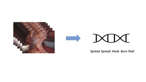 How Do Surgical Gestures Help Refine Surgery Research Communities By Springer Nature