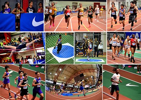 Psal Home Page