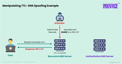 Dns Spoofing Attack Types And Prevention Indusface
