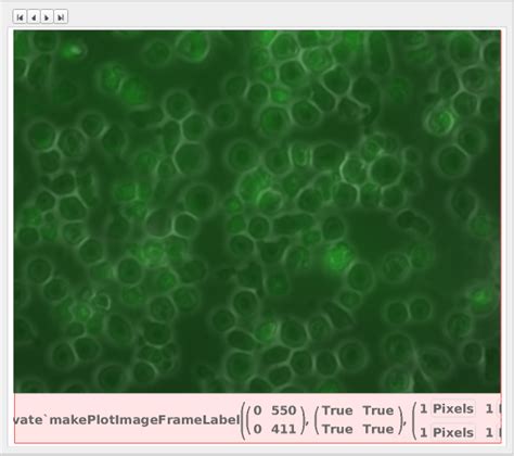 AnalyzeMicroscopeOverlay Documentation