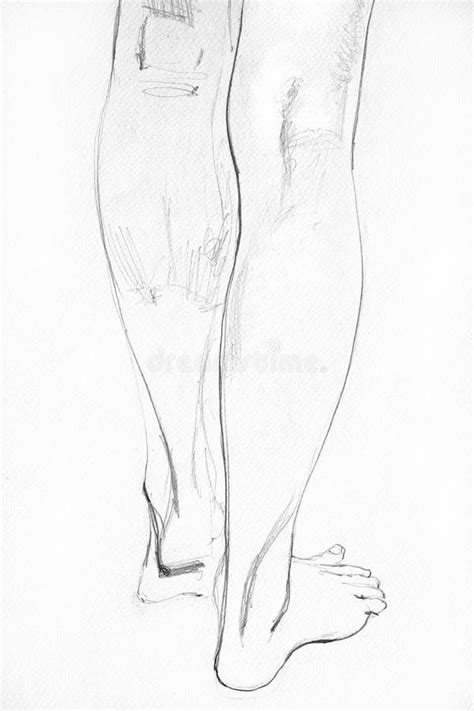 Pencil Drawing Sexy Girl Stock Illustrations 382 Pencil Drawing Sexy Girl Stock Illustrations