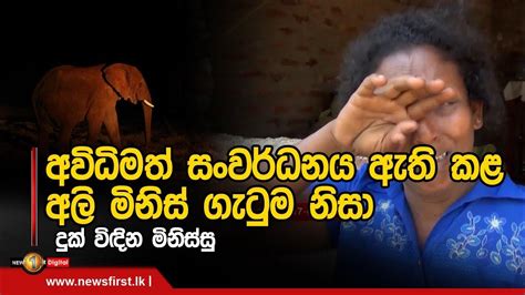 අවිධිමත් සංවර්ධනය ඇති කළ අලි මිනිස් ගැටුම නිසා දුක් විඳින මිනිස්සු Youtube