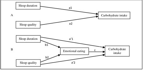 Hypothesized Mediation Model A Theoretical Model Of Sleep Duration Download Scientific